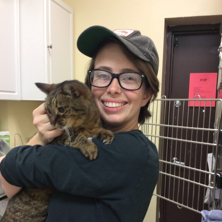 Minnie's Story • Seattle Area Feline Rescue