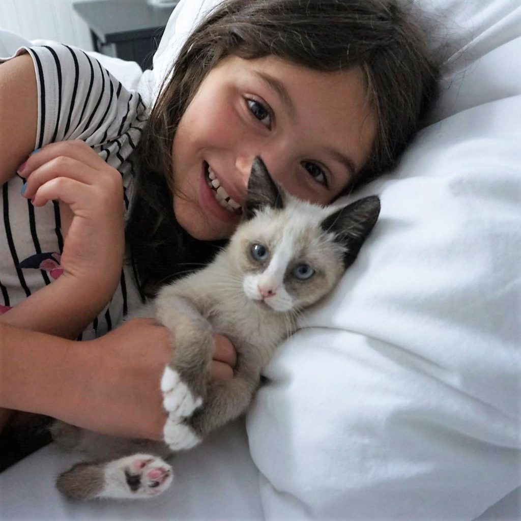 Chance's Story • Seattle Area Feline Rescue