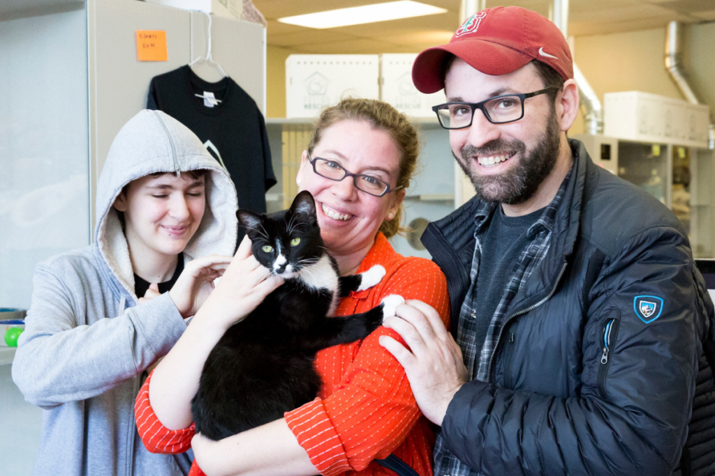 Adoption FAQ • Seattle Area Feline Rescue