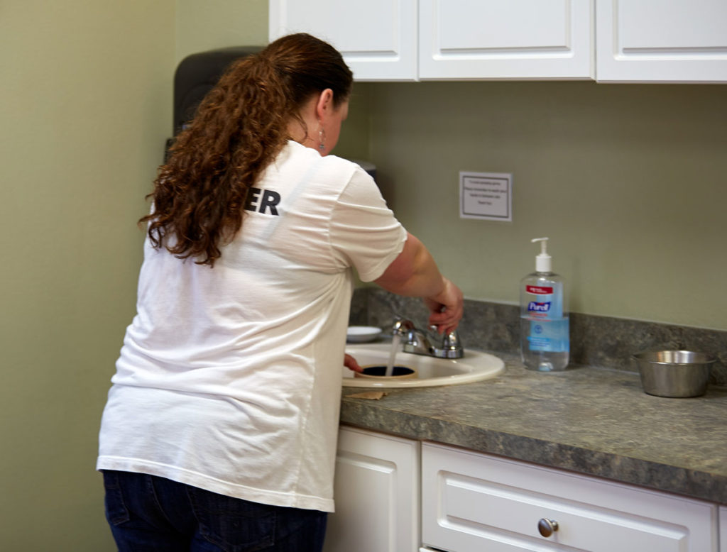 Keeping Our Community Safe During COVID-19 • Seattle Area Feline Rescue