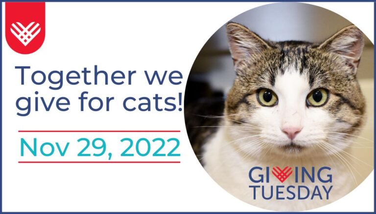 Upcoming Events • Seattle Area Feline Rescue