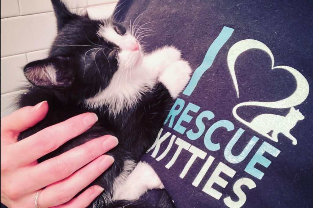 Volunteer of the Month: Heather • Seattle Area Feline Rescue