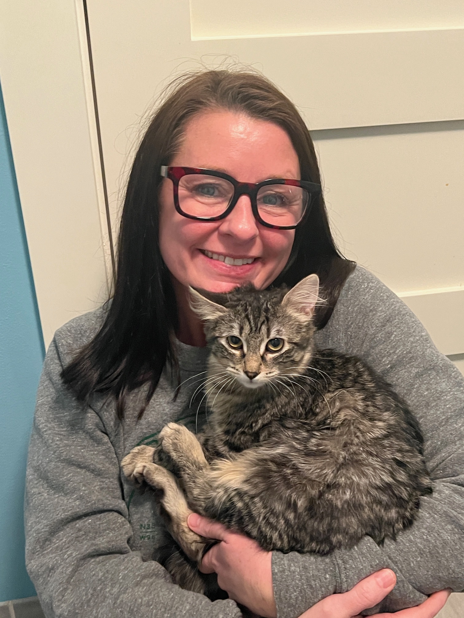 Foster of the Month: Anna B • Seattle Area Feline Rescue