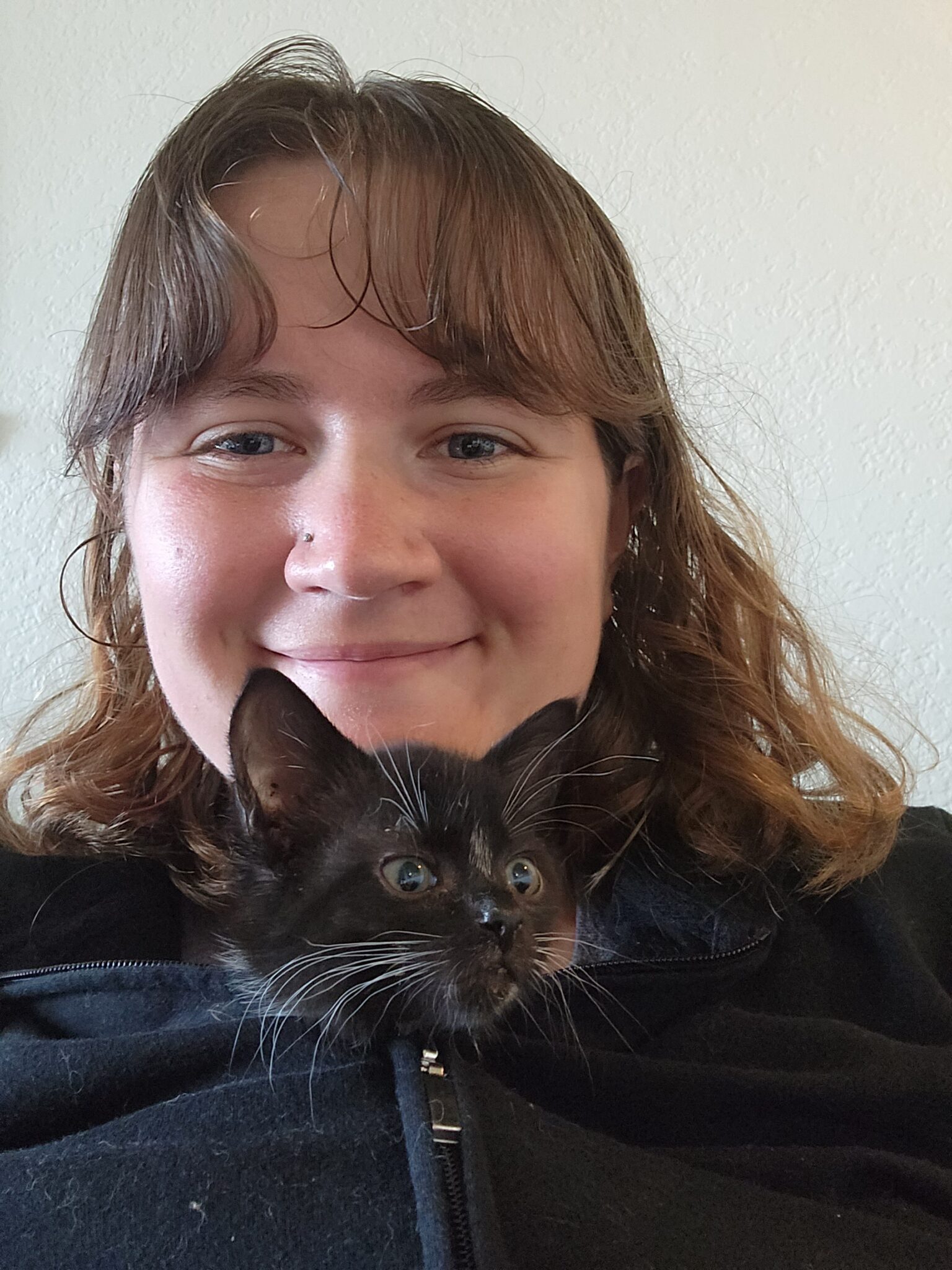 Foster of the Month: Rebecca S. • Seattle Area Feline Rescue