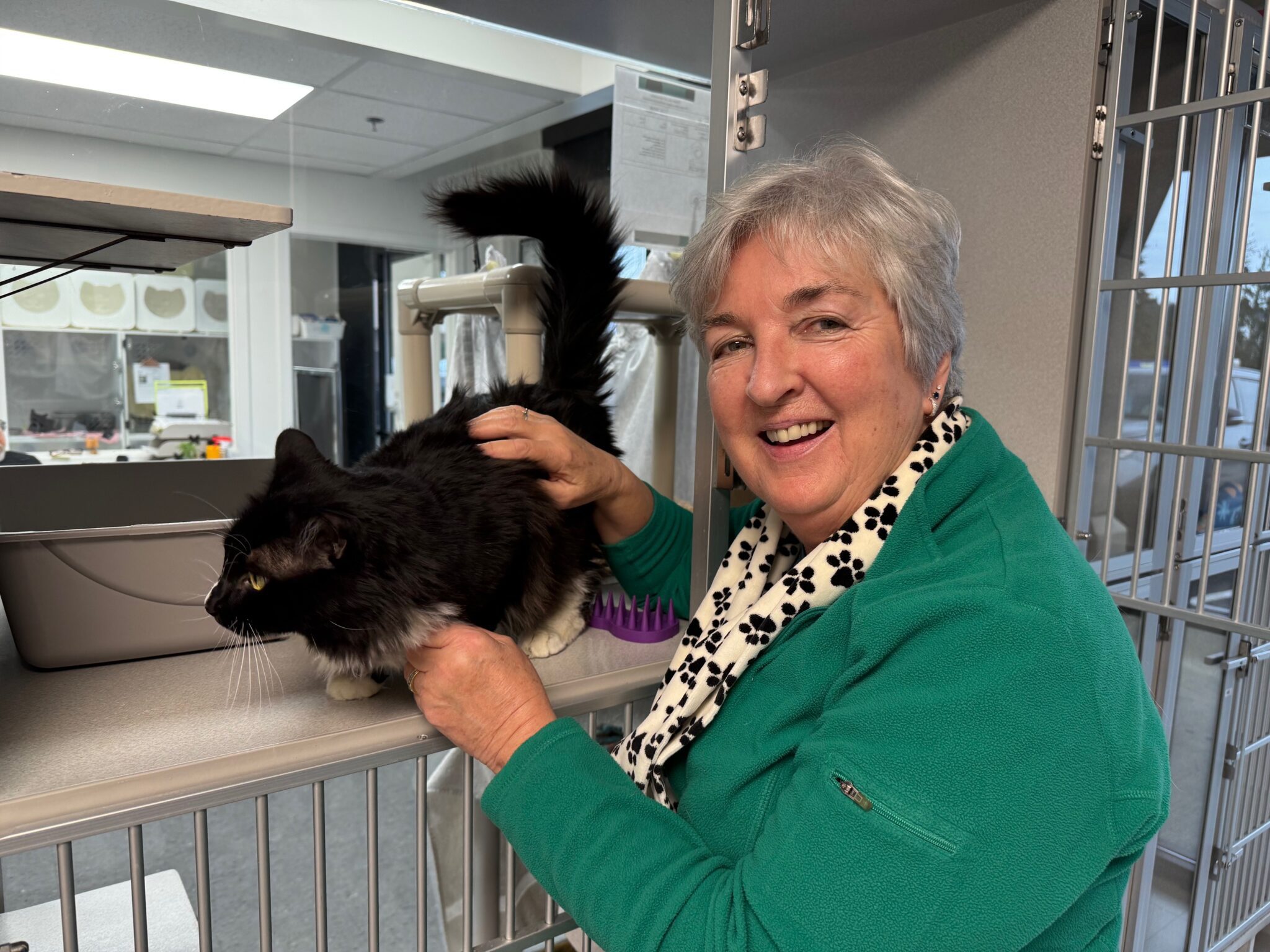 Volunteer of the Month: Mary S. • Seattle Area Feline Rescue