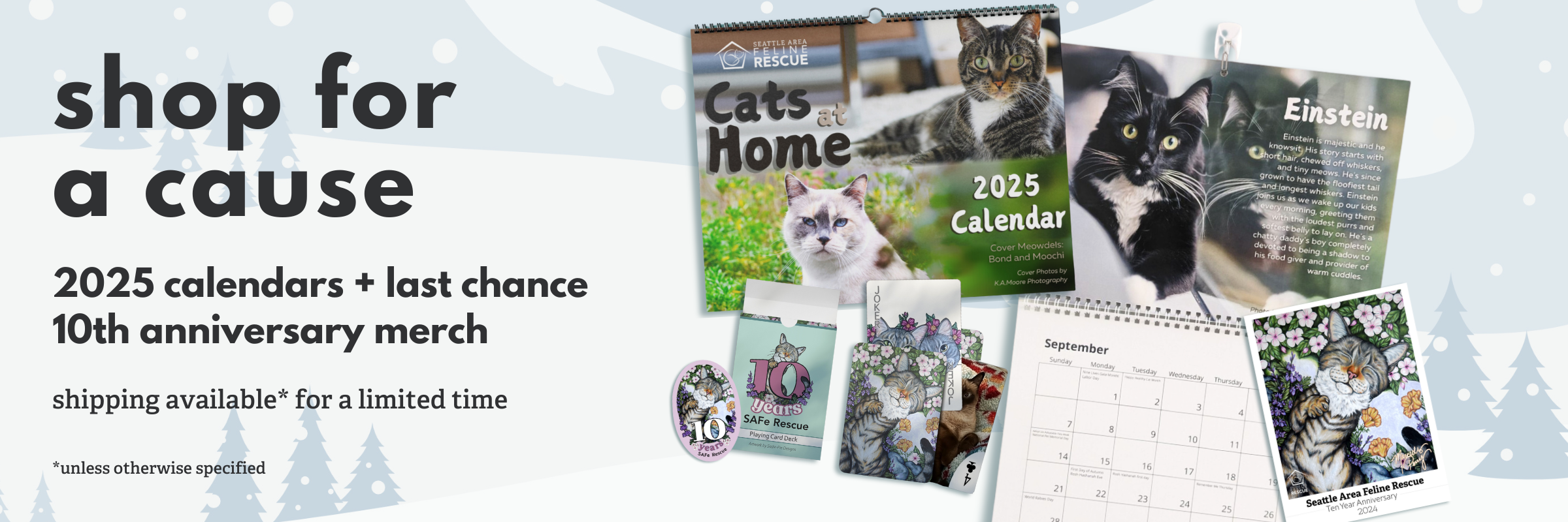 Seattle Area Feline Rescue