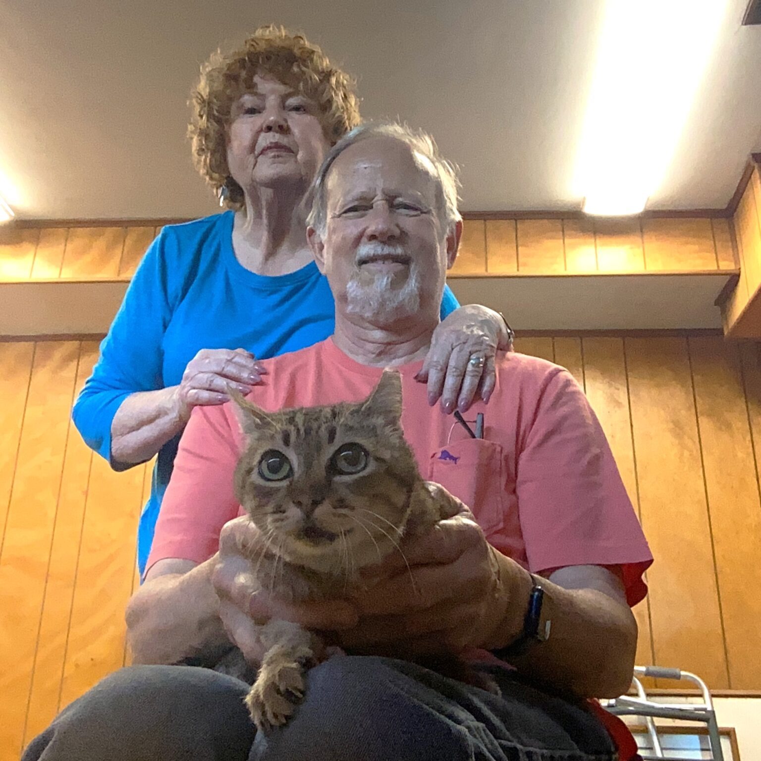 Fosters of the Month: Kris and Sandy • Seattle Area Feline Rescue