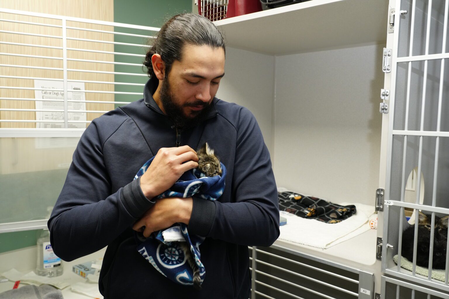 Save for a Save • Seattle Area Feline Rescue