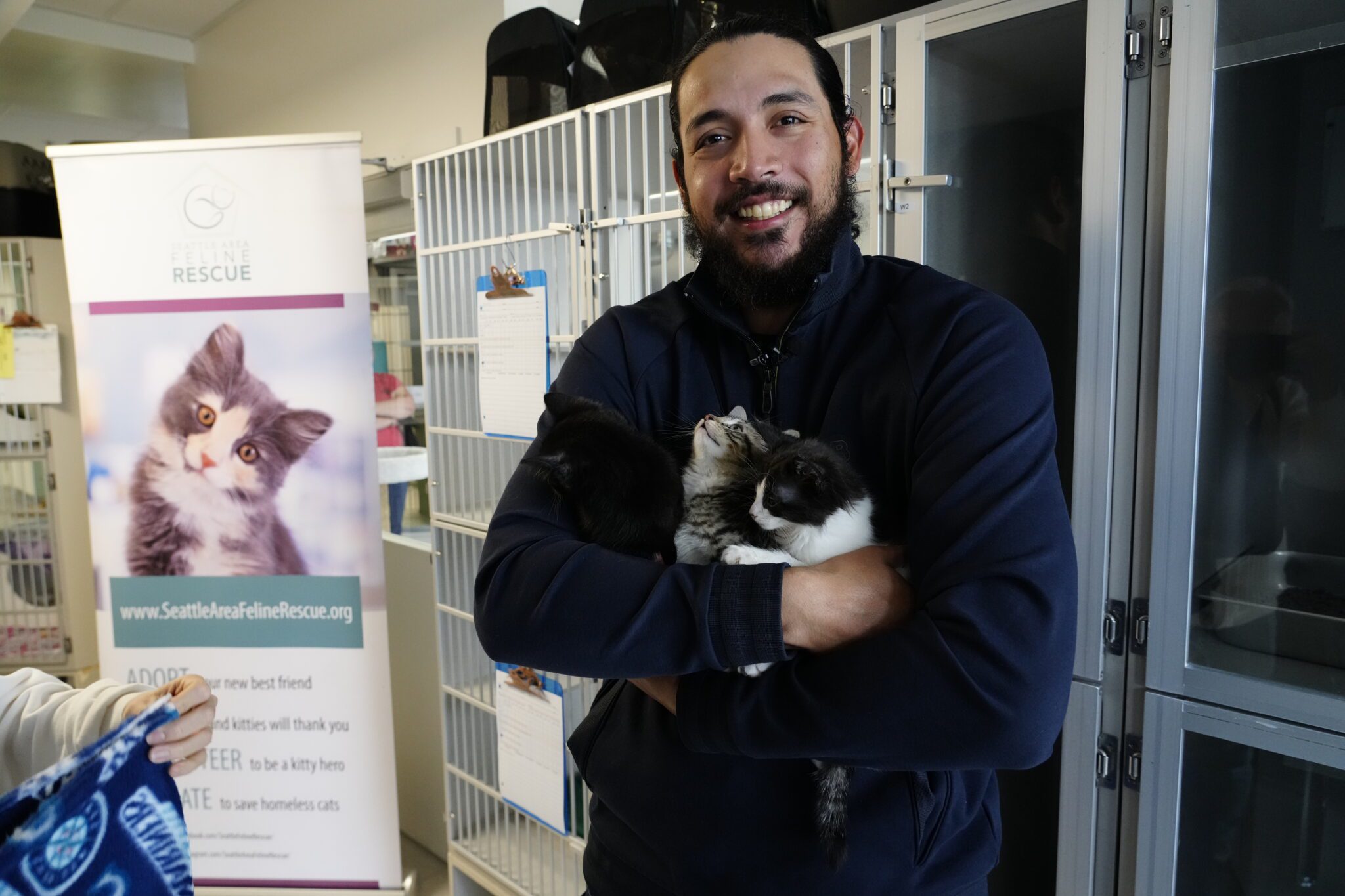 Save for a Save • Seattle Area Feline Rescue