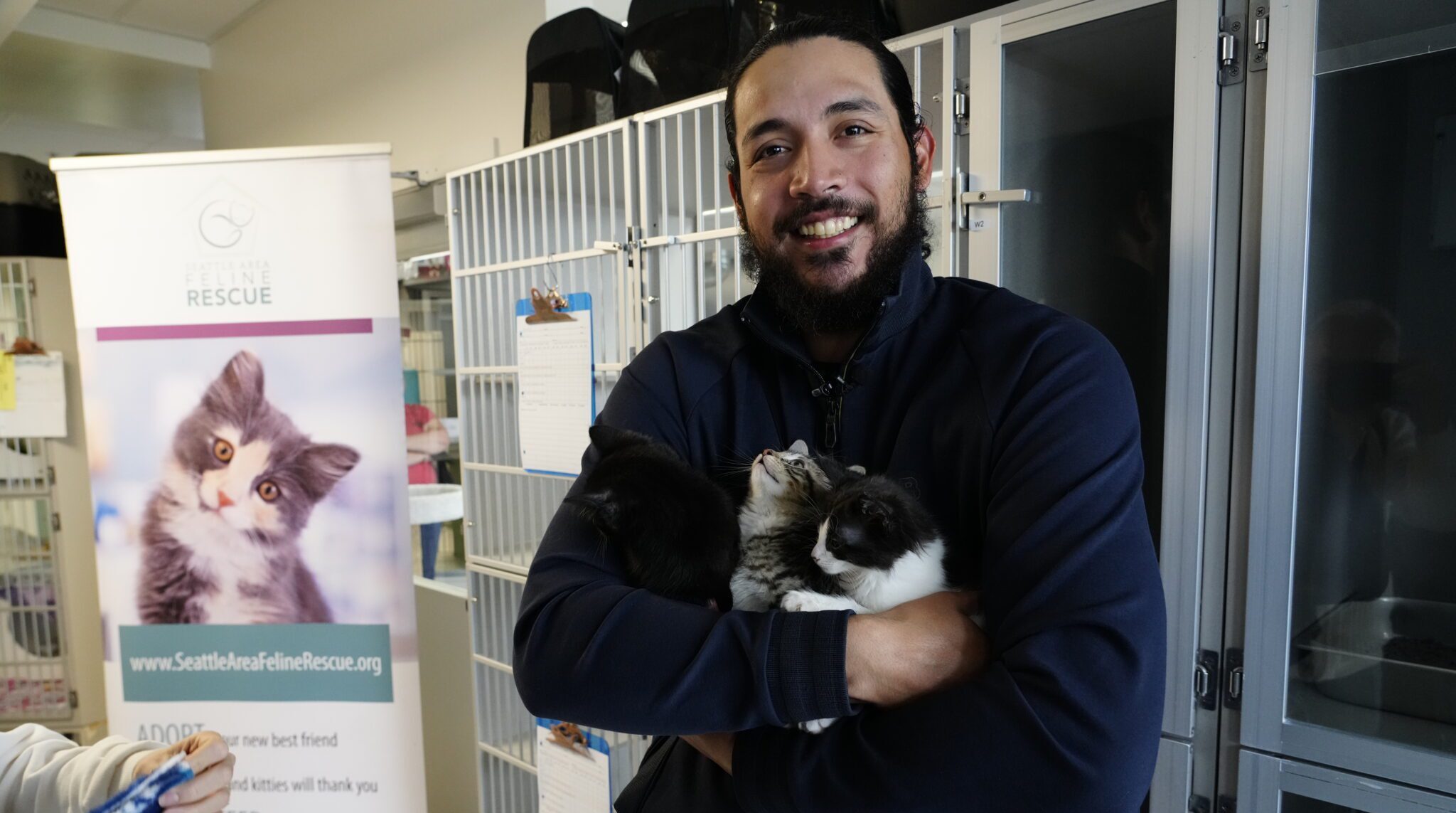 Save for a Save • Seattle Area Feline Rescue