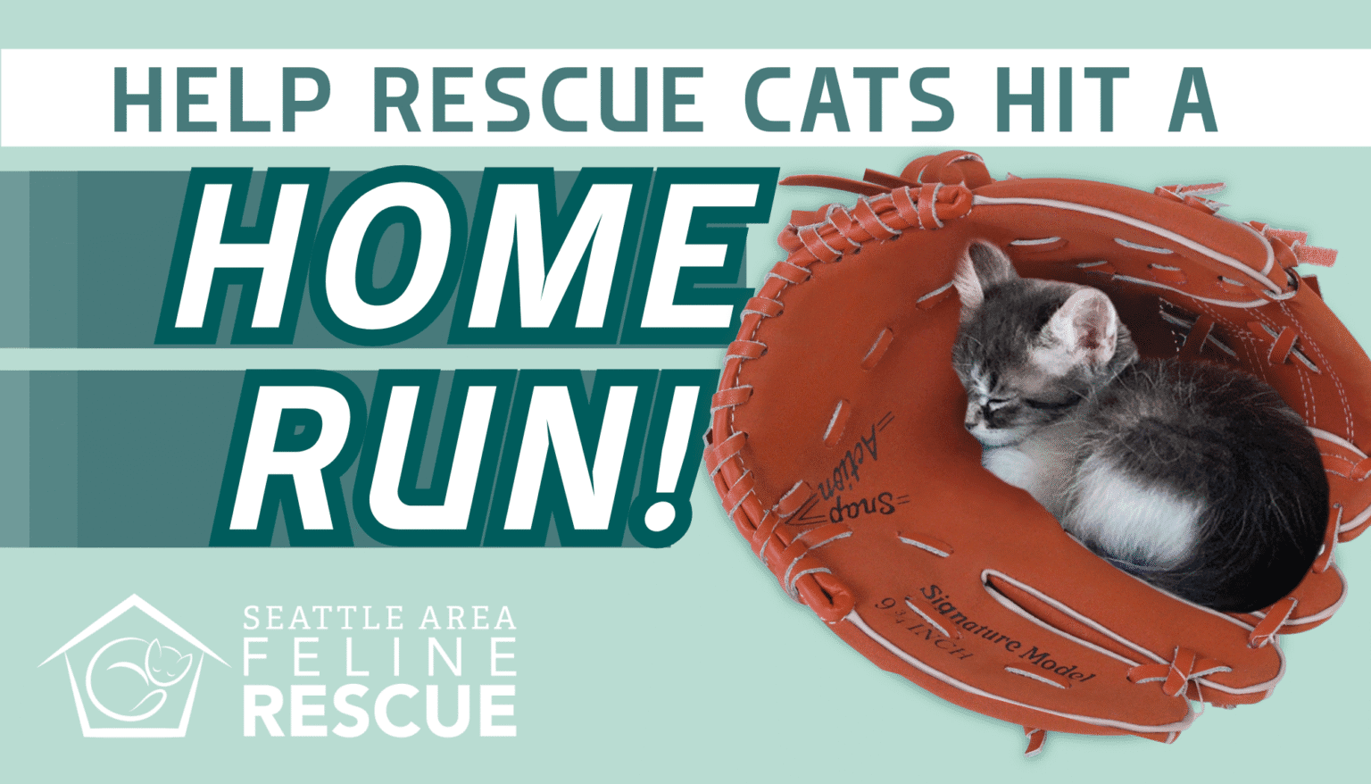 Home Run Adoption Event • Seattle Area Feline Rescue