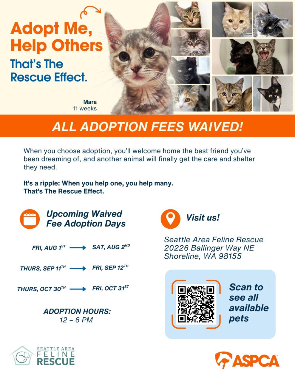 The Rescue Effect: Waived Adoption Fee Days • Seattle Area Feline Rescue